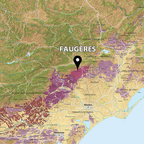 Faugères Bio - Hecht & Bannier