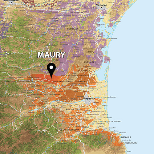 Maury red wine, the expression of black Grenache | Hecht & Bannier